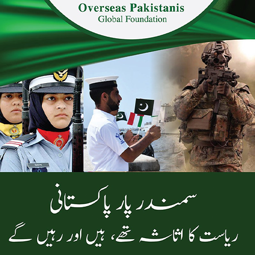 Overseas Pakistanis Global Foundation – Overseas Pakistanis Global ...